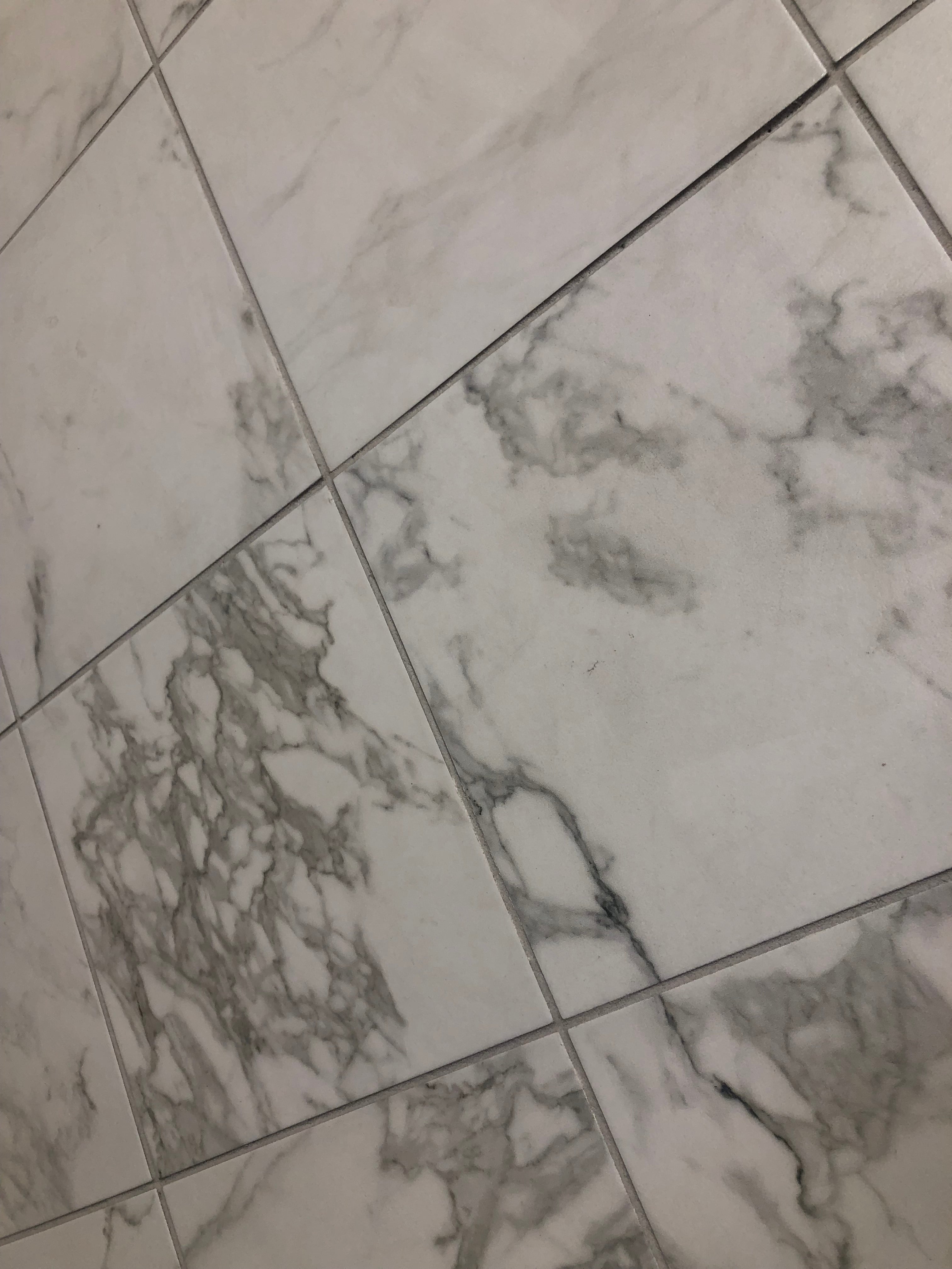 Museo Statuario- 12" X 12" Matte Porcelain Tile by The Flooring Factory ...