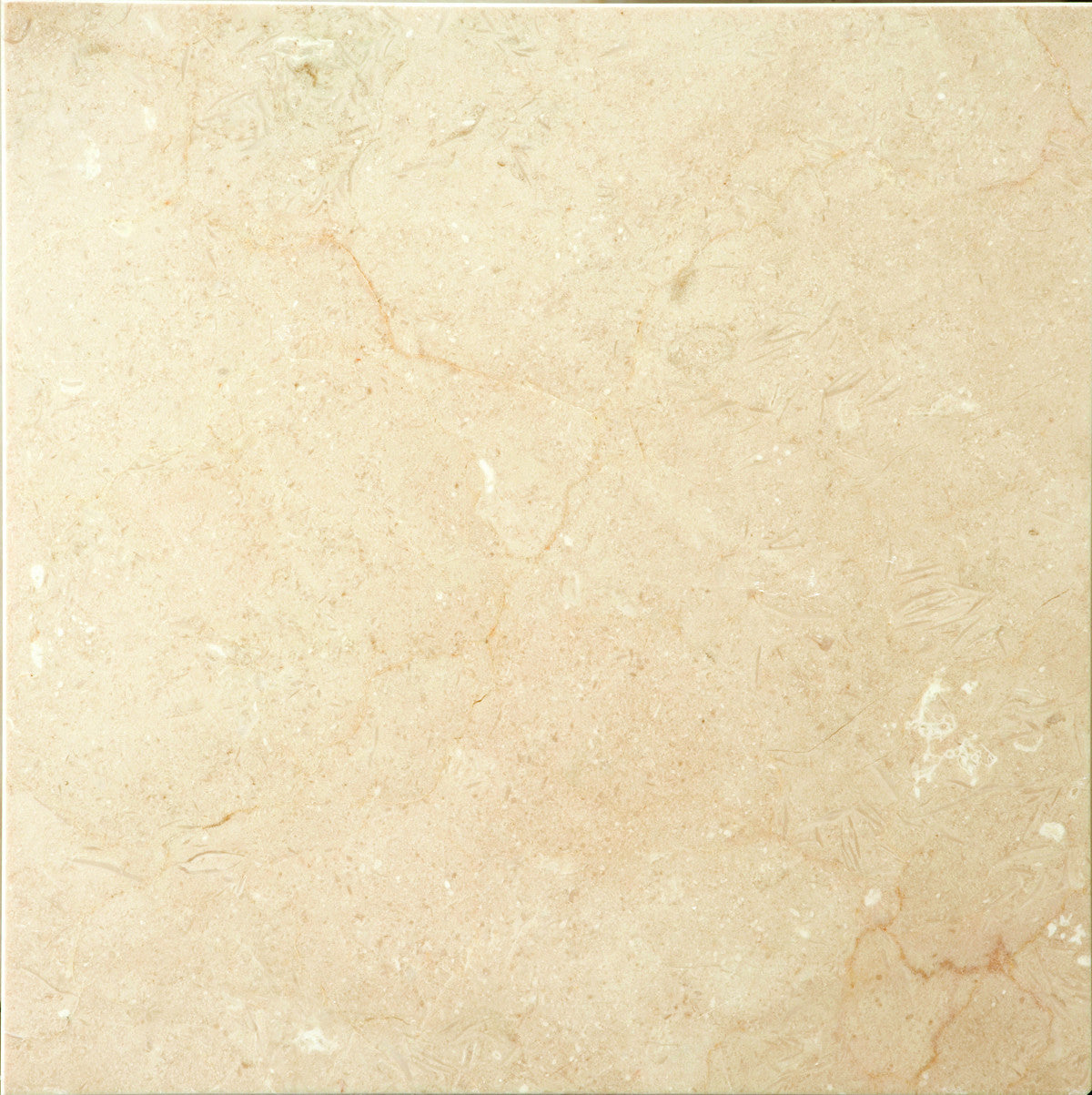 MARBLE™ - Marble Polished/Honed Tile by Emser Tile | The Flooring Factory
