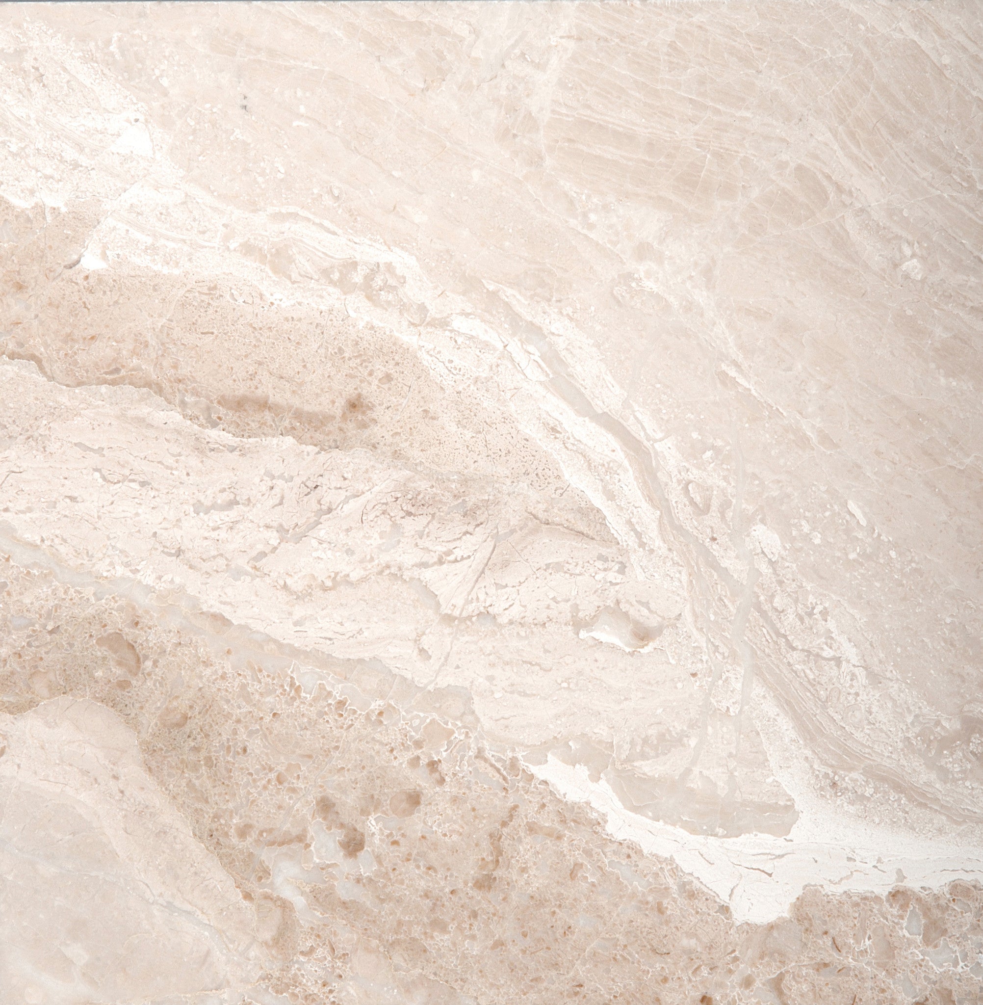 MARBLE™ - Marble Polished/Honed Tile by Emser Tile | The Flooring Factory